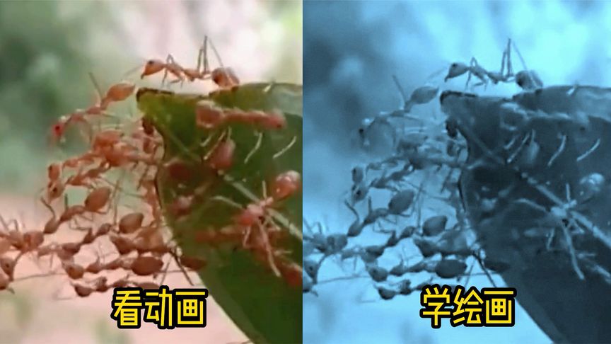 看动画学绘画:改变孩子一生的获奖短片值得你陪孩子看完并深思