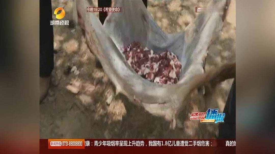 羊皮可以当锅用 是真的吗?