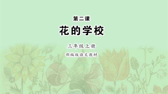 《花的学校》小学语文三年级下册 课文朗读