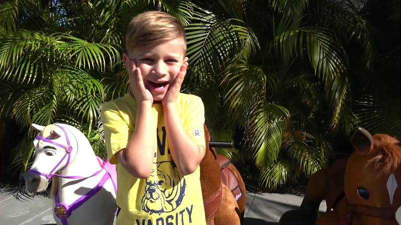 小公主戴安娜 罗曼为啥那么高兴 因为他终于找到他的马了