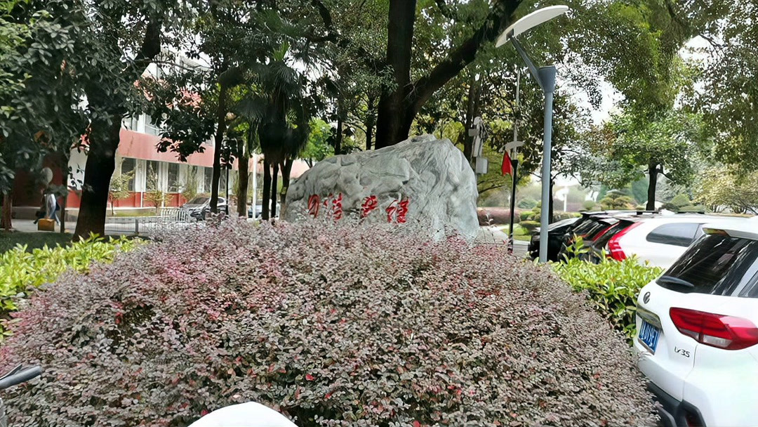我在华中科技大学同济医学院的博士生活