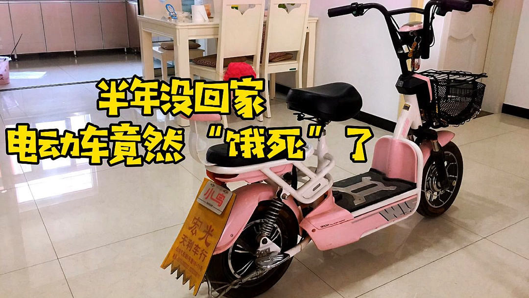 电动车长期不使用要注意一个操作,否则电瓶会饿死,我就是个例子