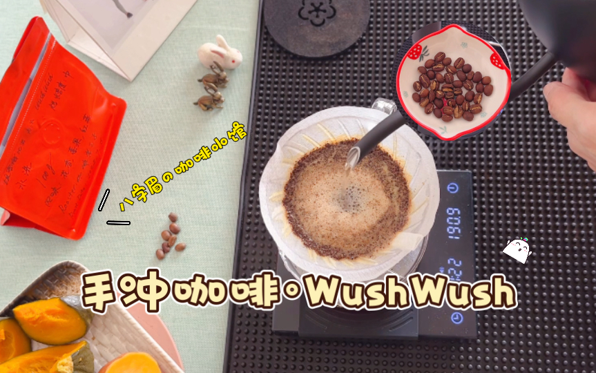 日常分享|手冲咖啡·WushWush|埃塞俄比亚 水洗处理|喝到咖啡就很...