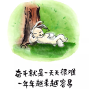 FengZi6325 