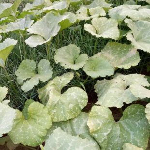 创造美好的生活从现在开始 