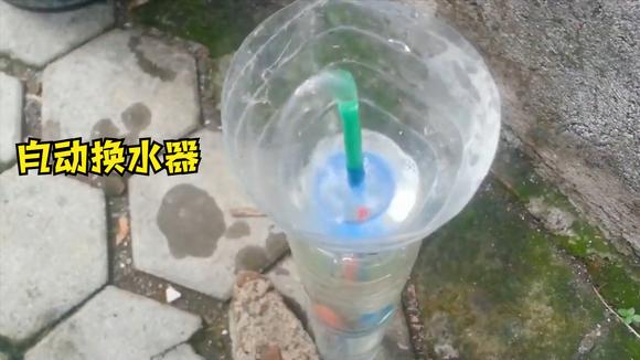 三个矿泉水瓶,里面放几根吸管,就做好一个自动换水器了太神奇了