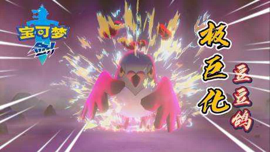 精灵宝可梦剑盾06,我在旷野地带被熊追