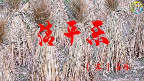 农村稻田里站立的稻草人 一种冷清索寞的意境 词人淡淡的忧伤。