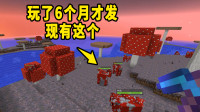 我的世界娱乐联机27:帮我看看他是否作弊,找到一万米外蘑菇岛