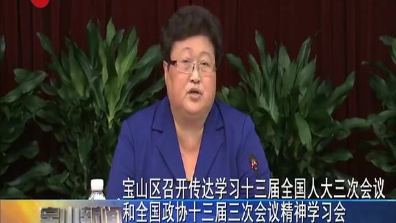 ...学习十三届全国人大三次会议和全国政协十三届三次会议精神学习会