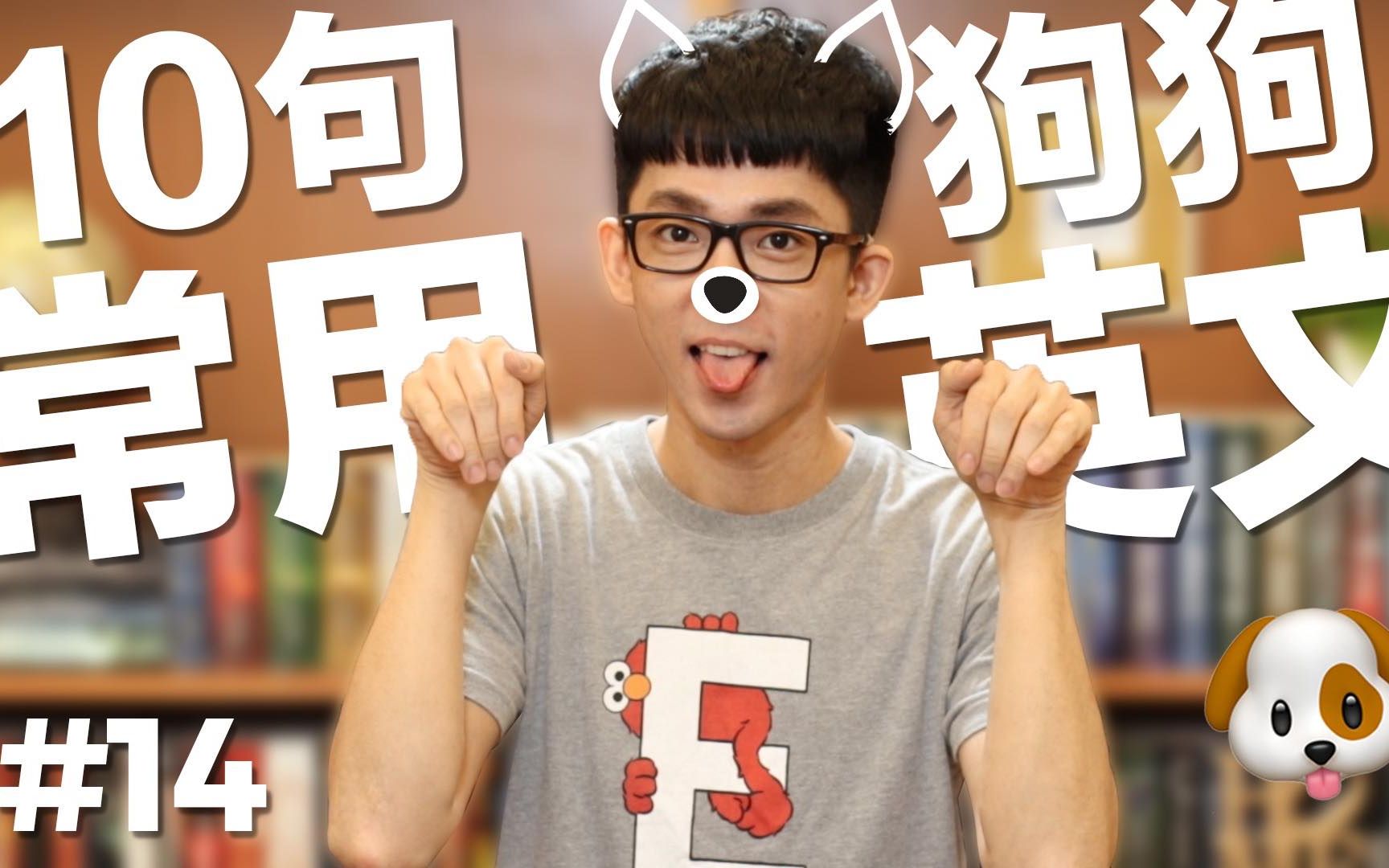 10个常用的英文句子 - 狗狗篇 feat. 帕比
