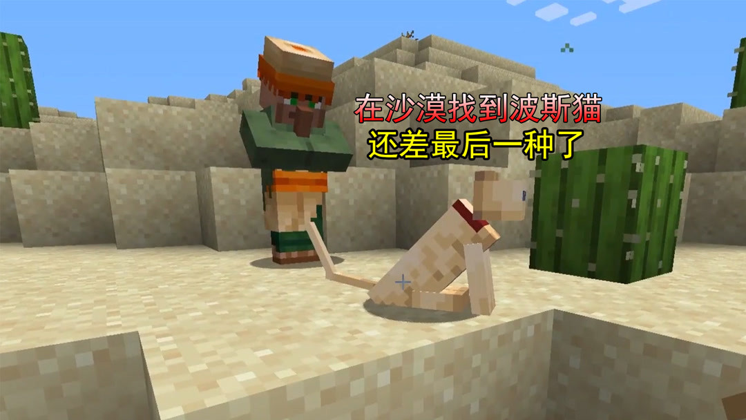 我的世界1.16联机460:在沙漠找到波斯猫,最后目标指向沼泽小屋