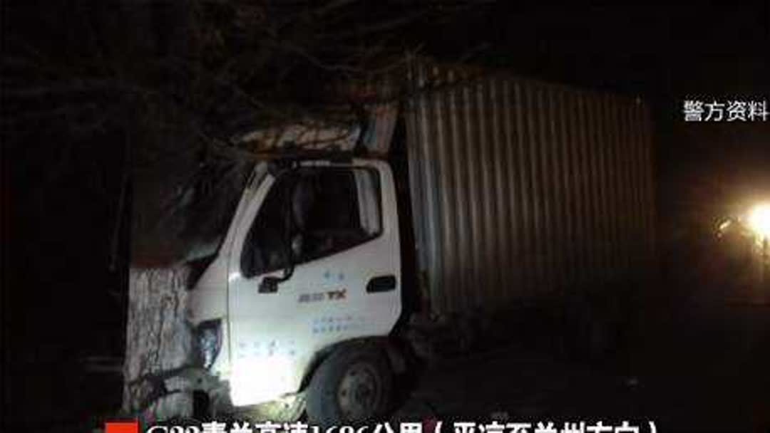 好端端的行驶,货车司机为何突然"撞树"?原来是累了!