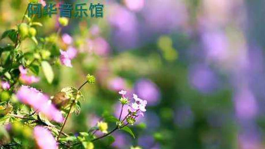 老歌《你的样子》罗大佑一首用歌词刻画的经典熟悉的歌曲,好听