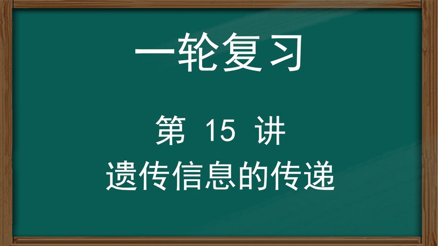 高中生物(一轮复习)第15讲:遗传信息的传递