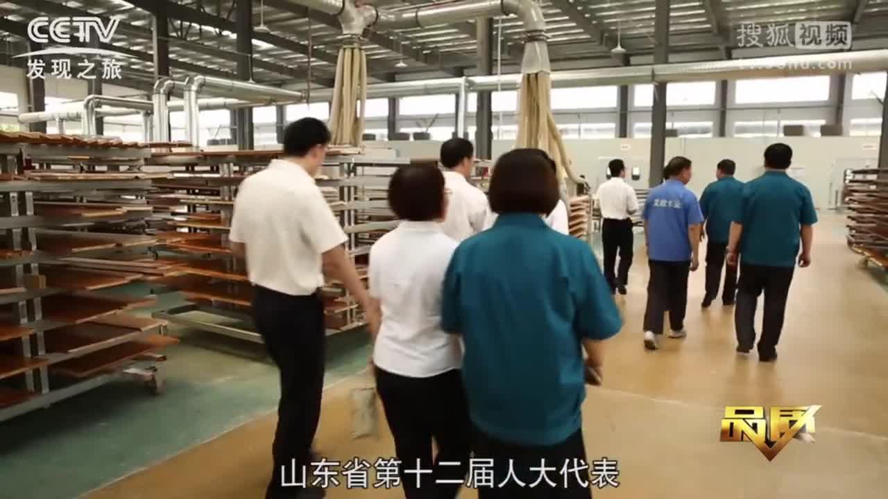 cctv发现之旅,报道金马首木门《走出国门》