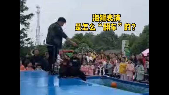 孩子们喜欢看的海狮表演,是怎么“翻车”的?