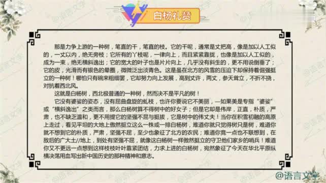 作品1号:白杨礼赞