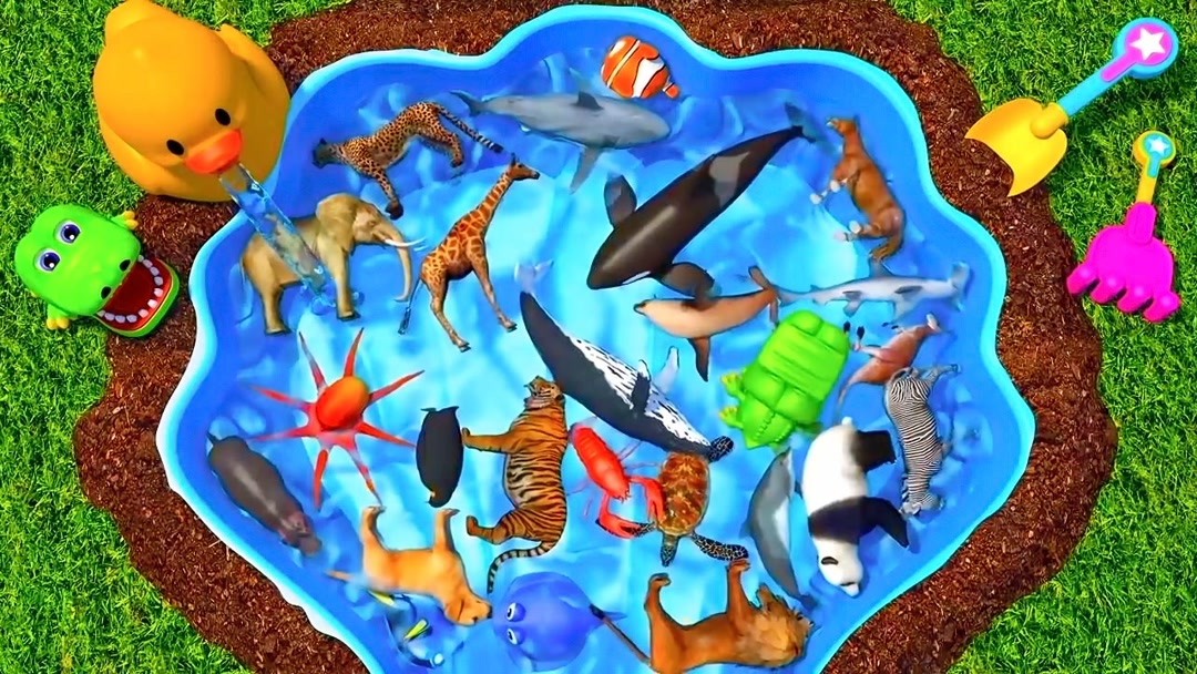 少儿卡通动画 介绍小丑鱼,熊猫和小狗 老虎 大虾 熊猫 狮子