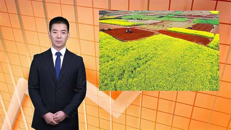 AI财汇早餐:人大代表建议延长男性育儿假