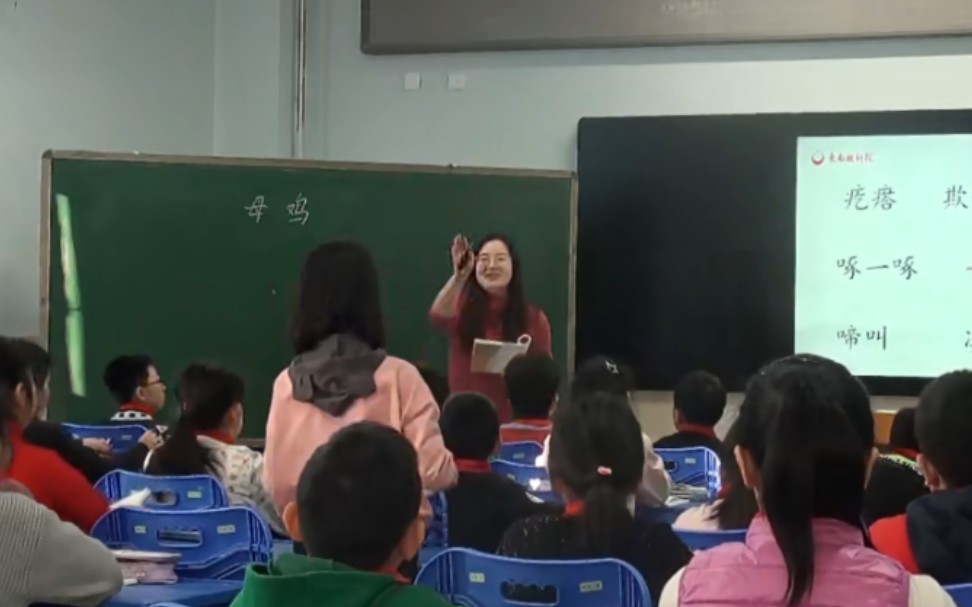 《母鸡》公开课 【课件+教案】
