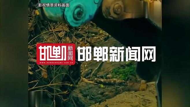 男子铲毁“自家”林地建猪场,法院判6个月并罚金1万:非法占用