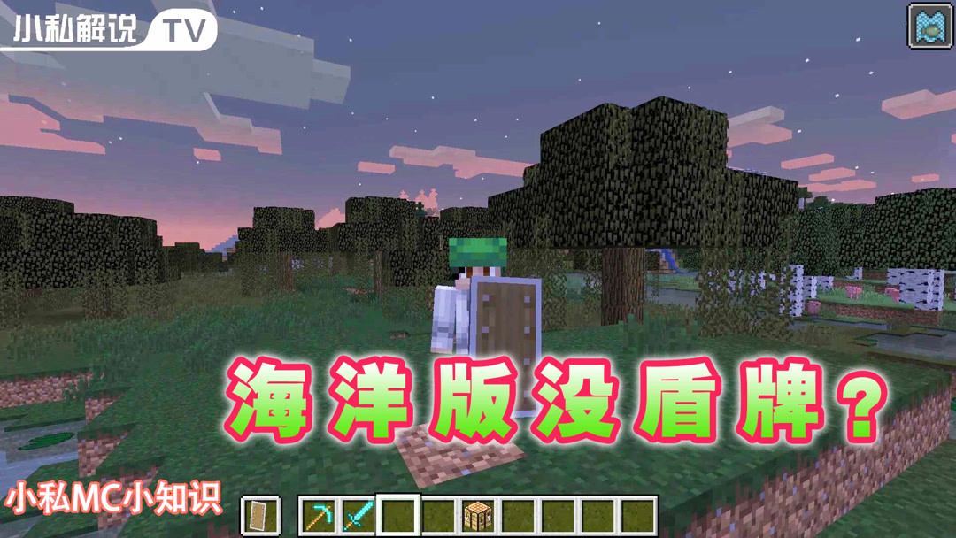我的世界:海洋版没有盾牌?那是你的版本不对