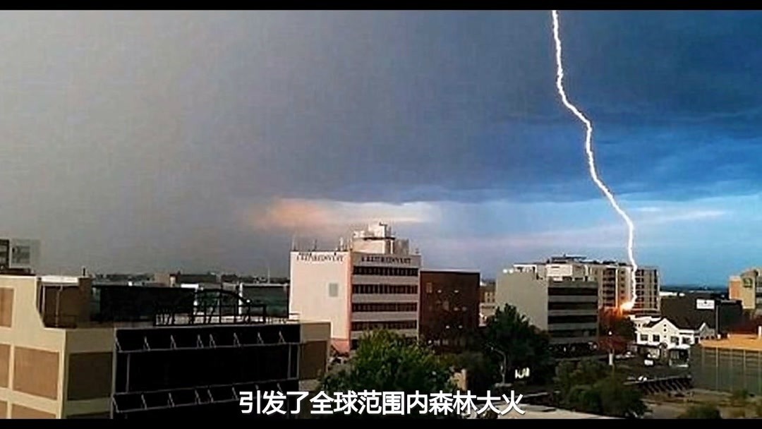 澳大利亚森林火灾,损失重大!