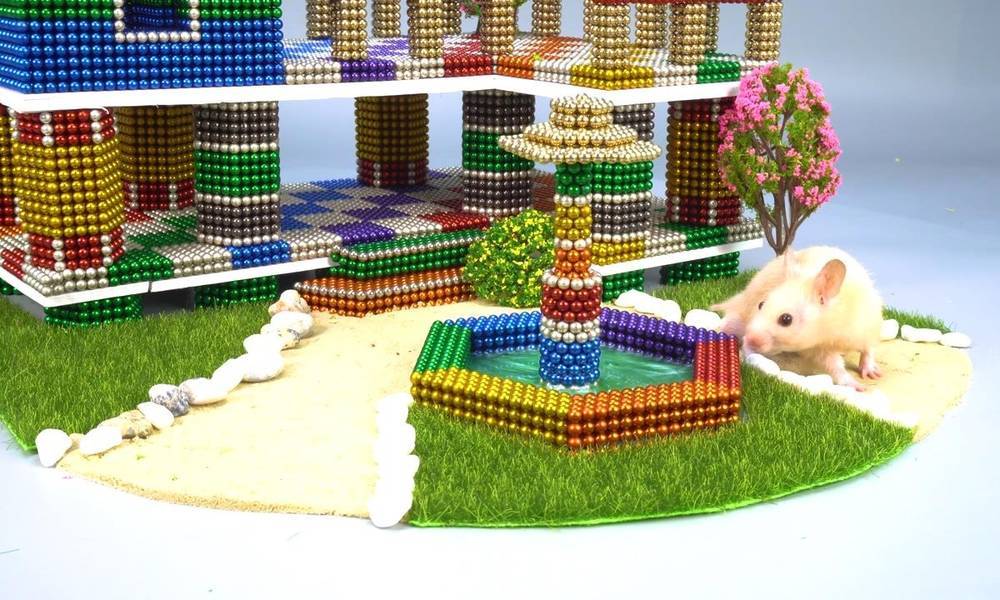 小伙给仓鼠DIY一座别墅,足足用了3万颗巴克球,真是创意十足!
