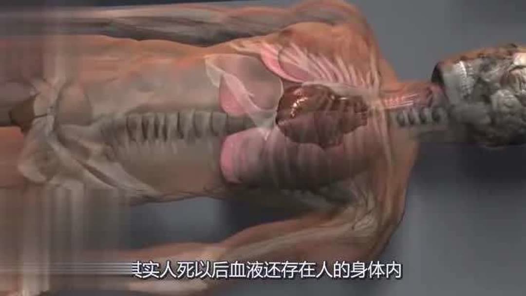 人离开世界后,身体里汹涌流动的血液会到哪里?看完真的惊到了!