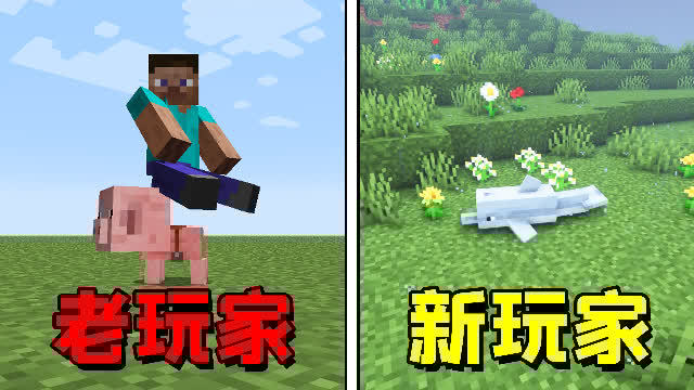 我的世界:5个骨灰级老玩家才知道的奇妙特性,世界边境!