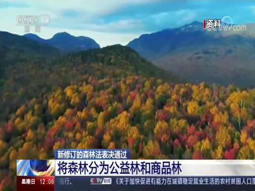 [新闻30分]新修订的森林法表决通过 国家将严格控制森林年采伐量