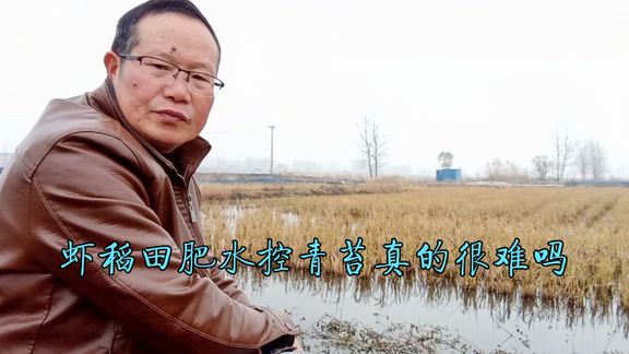 虾稻田控青苔生长不容易?用对操作方法,您也一样做到很满意