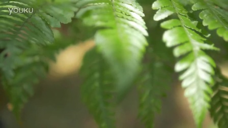 Panasonic LUMIX GH4 绫濑遥代言30秒CM