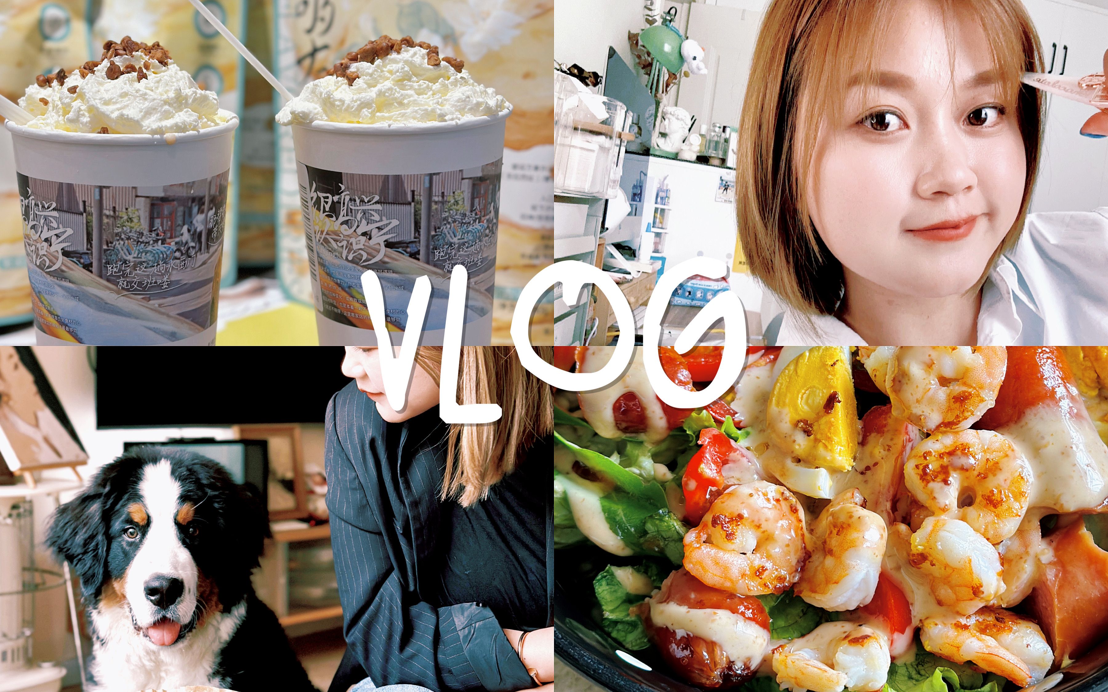 VLOG | 吃不腻的沙拉做法·超治愈的伯恩山修狗·试用美的咖啡机·...
