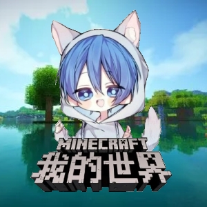 我的世界IDT冰风 