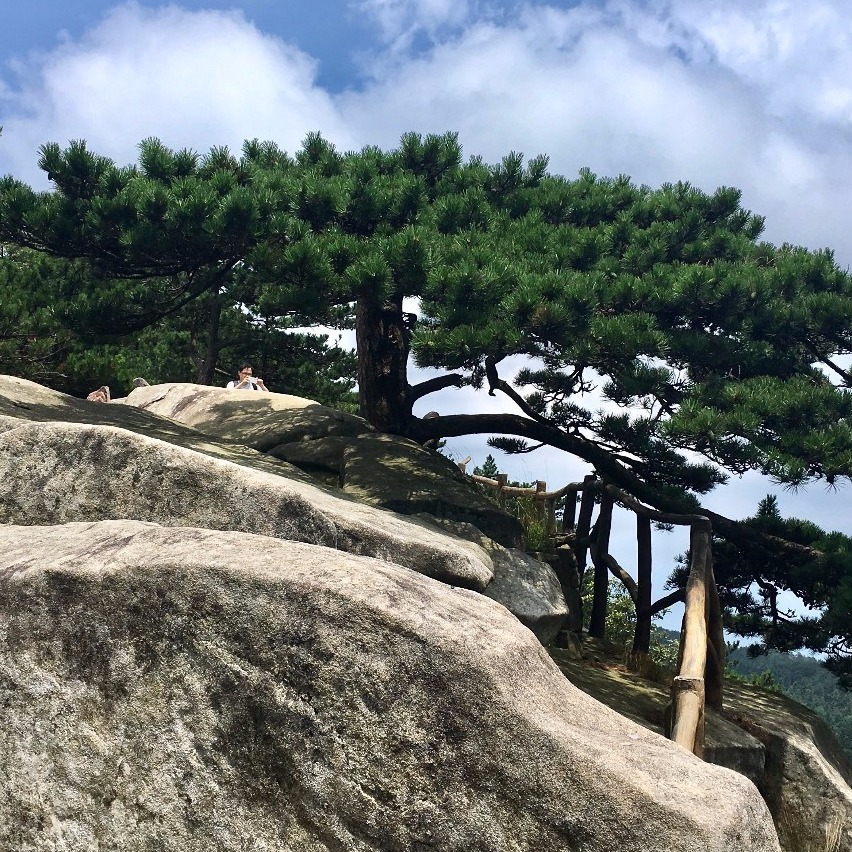 西部点评