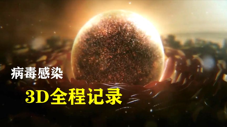 肺炎病毒如何感染人体,并出现无症状患者?3D动画记录感染全过程