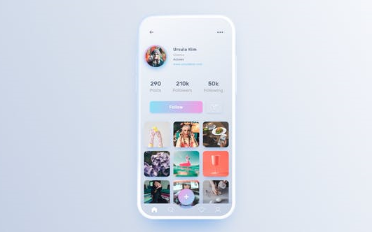 AE模板-照片点赞轮番滑动介绍效果的Instagram个人主页介绍视频社交...
