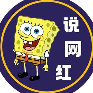 整活日记v 