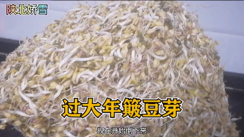 生了8天的豆芽,大年三十簸,我们陕北人讲究豆芽不过年