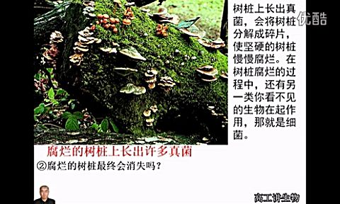 高工讲生物七年级(初一)生物上册第二章了解生物圈第二节生物与环境...