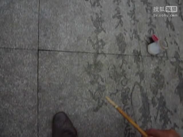 20130814偏旁部首增加部分--虫字旁