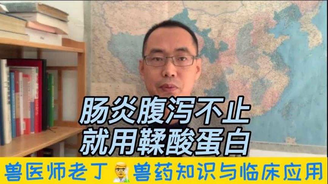 动物久泻不止,用药效果不好,先别急,配合鞣酸蛋白效果好
