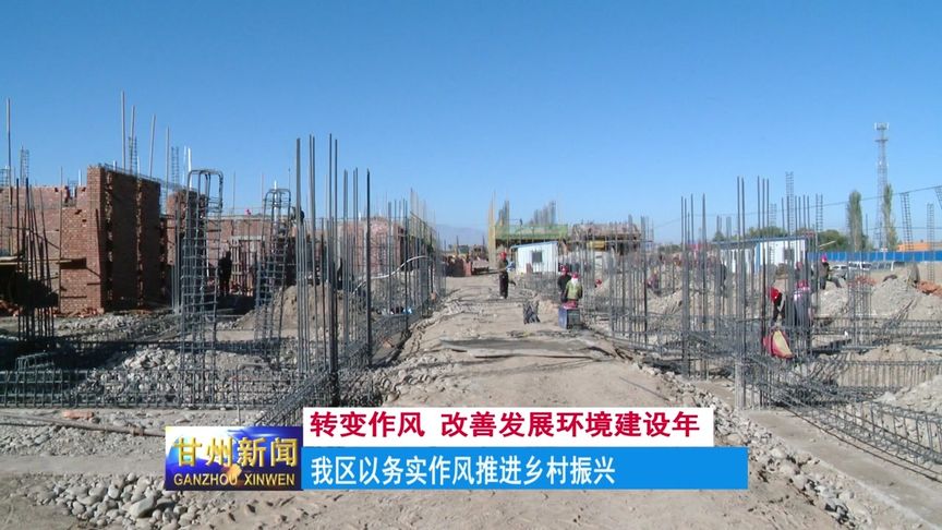 我区以务实作风推进乡村振兴