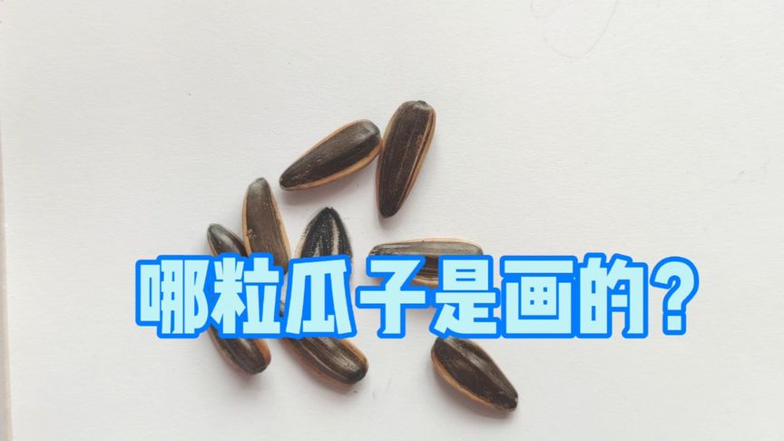 素描创意画教程,你能看出哪粒瓜子是画的吗?创意美术,手绘教程