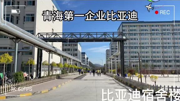 #青海比亚迪 #青海招聘 #电子厂