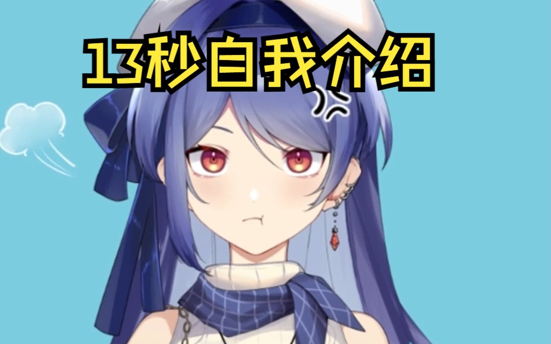 13秒认识一个VUP