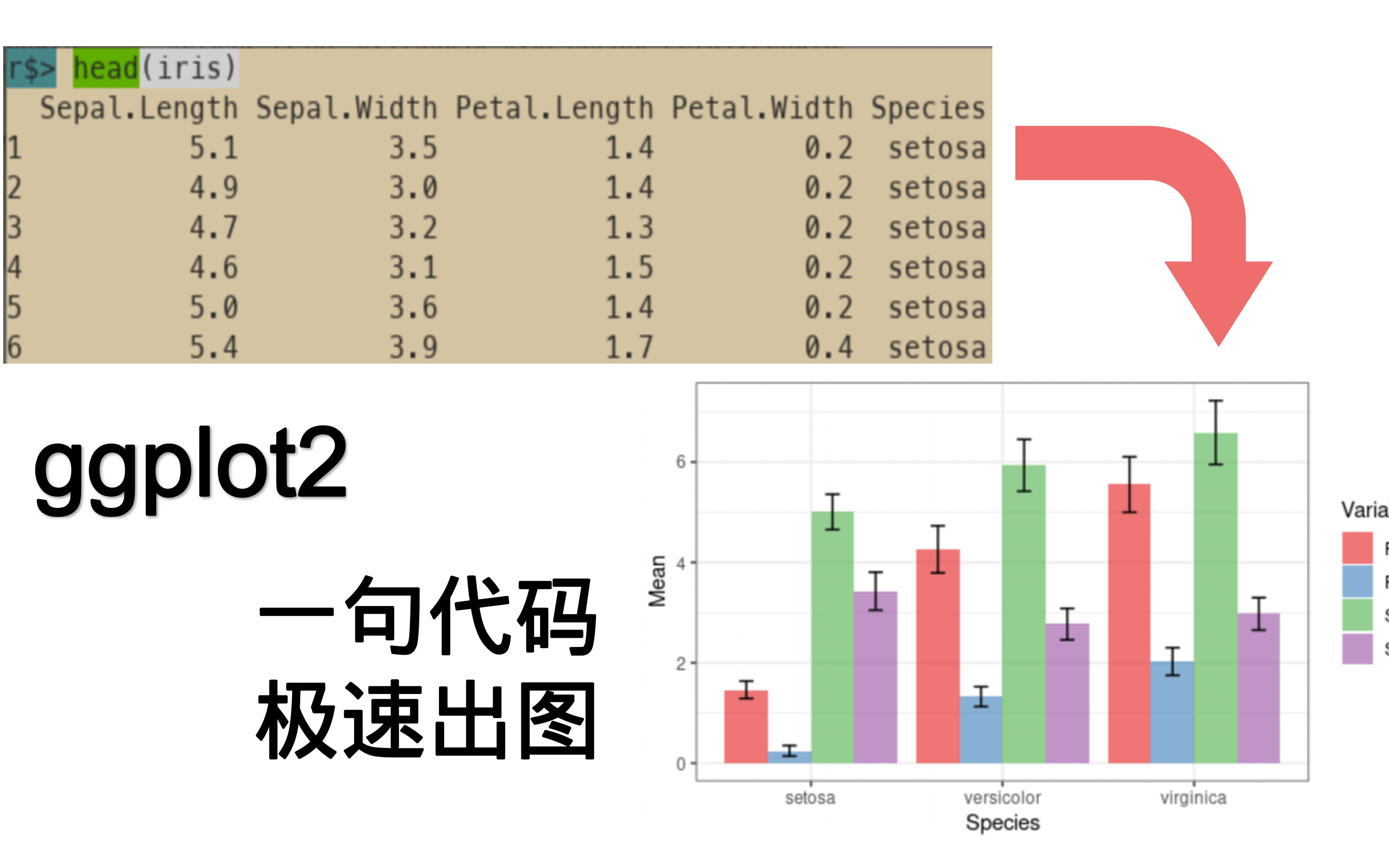 超实用函数:一行代码 自动统计+ggplot画柱状图
