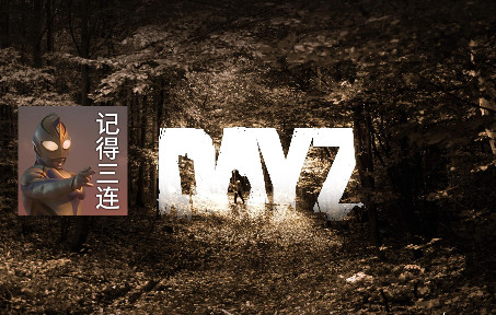 dayz 45810-LKN服务器新手工模组简介
